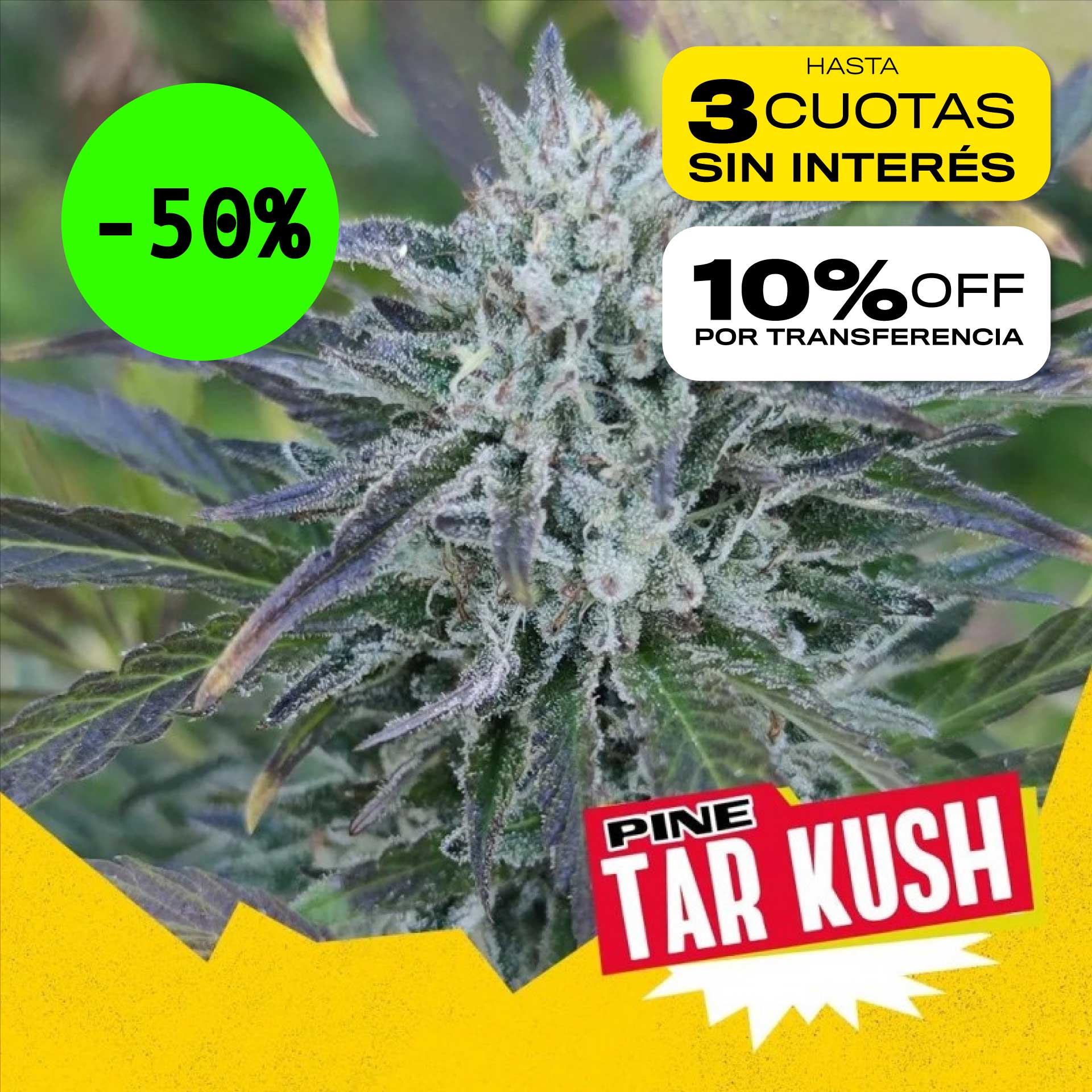 Cosechalibre: Productos de cultivo de cannabis, cursos y más