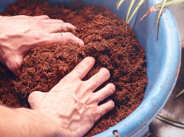 ¿Cómo se clasifican los sustratos? | Cosechalibre