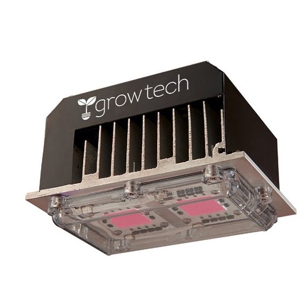 Tips para un cultivo indoor exitoso en invierno. – Cosechalibre